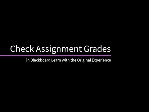 Check Assignment Grades in Blackboard Learn with the Original Experience