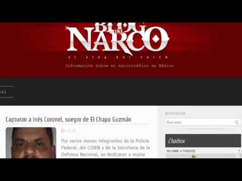 Blog del Narco: creadora huye de México y denuncia desaparición de su compañero