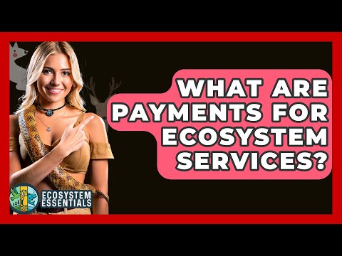 What Are Payments For Ecosystem Services? - Ecosystem Essentials