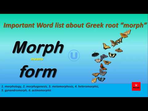 morph root words list | U Vocab