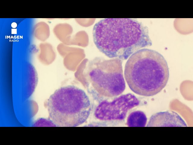 ¿Qué es la soledad moderna?: Dr. Rafael López