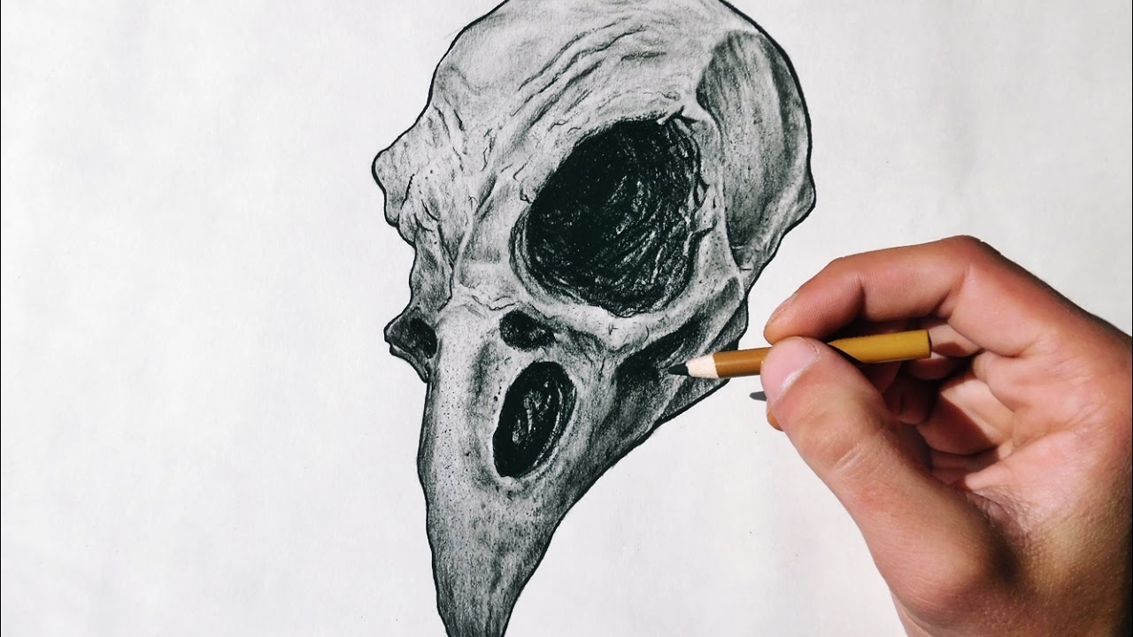 Animal Skull Drawing - Time Lapse
