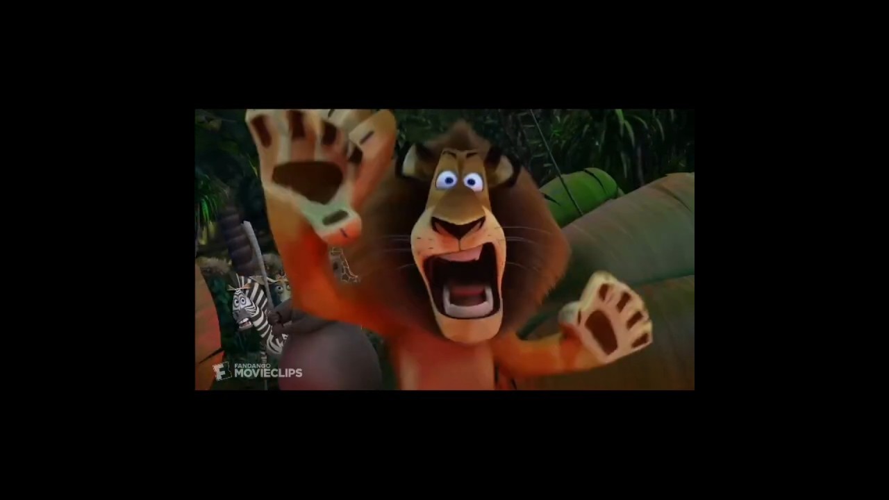 Madagascar - Alex finds a spider on his back#madagascar #dreamworks #alexthelion