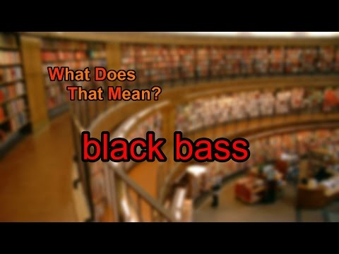 What does black bass mean?