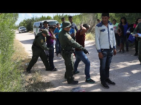 What Options Does the U.S. Have on Immigration? | NYT News