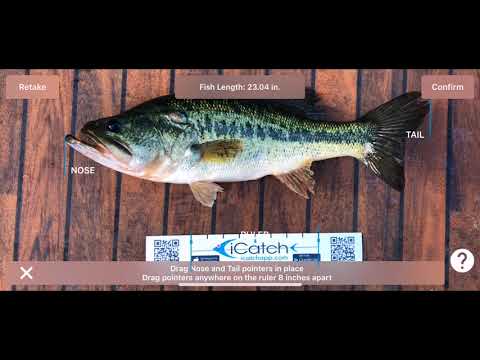 How to Add A Catch using the iCatch App