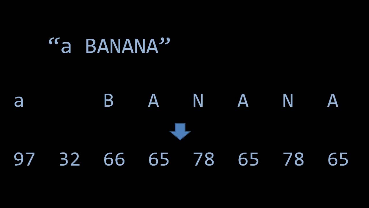 Computer Literacy - (unit 2) - data and files - 1 of 7