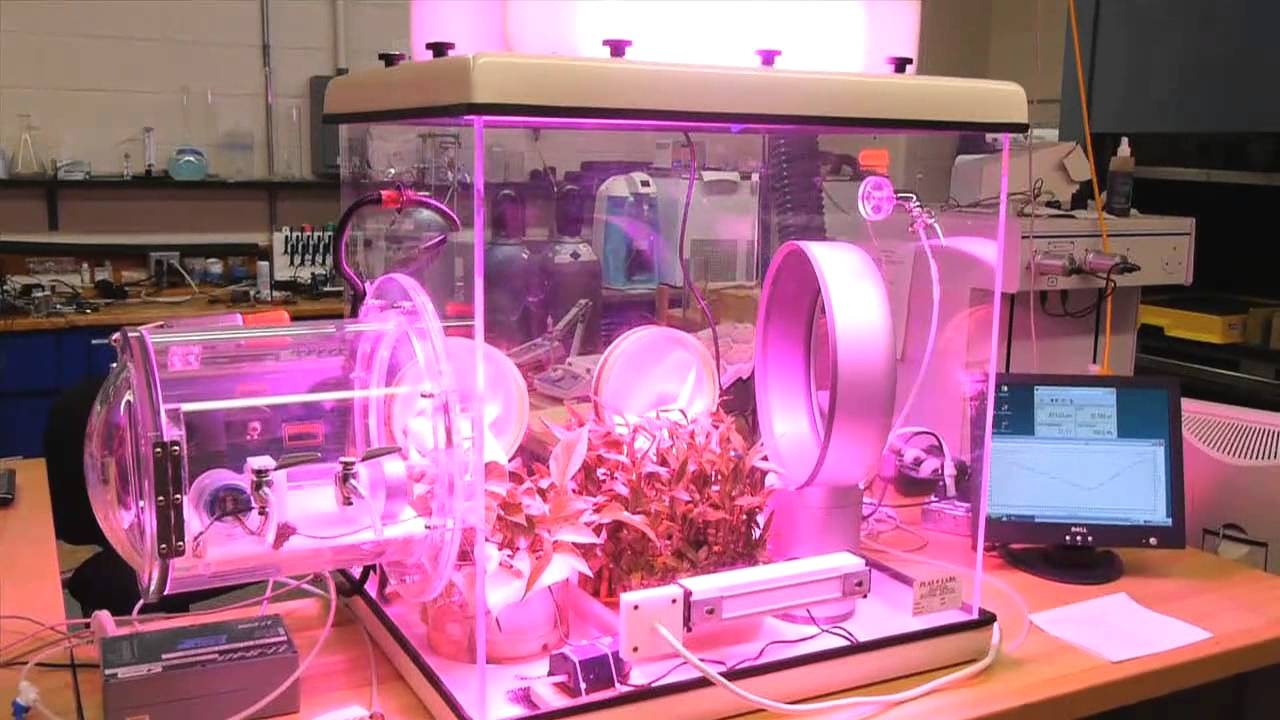 Prof. Klaus Lackner Takes Step Toward Workable Carbon Capture Technology