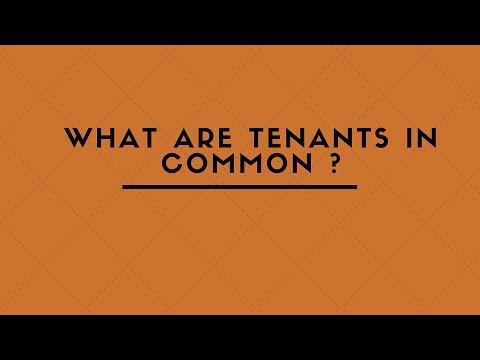 WHAT ARE TENANTS IN COMMON ?