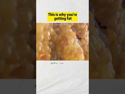 Fat cells | This is why you're getting fat #shorts #weightloss