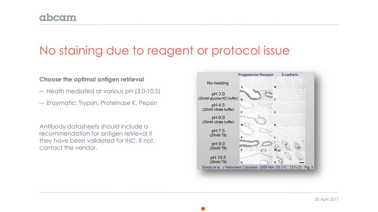 IHC: Troubleshooting (protocol issue)