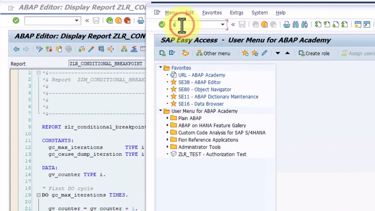 ABAP Debugger 101 - Ep8 - Endless Loop Breakpoint