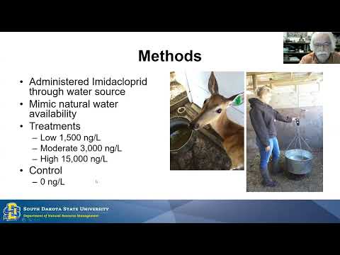 Neonicotinoid Insecticide Effects on Mammals