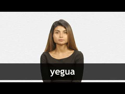 English Translation of “YEGUA” | Collins Spanish-English Dictionary