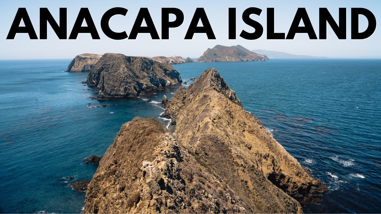 Anacapa Island Day Trip in Channel Islands National Park