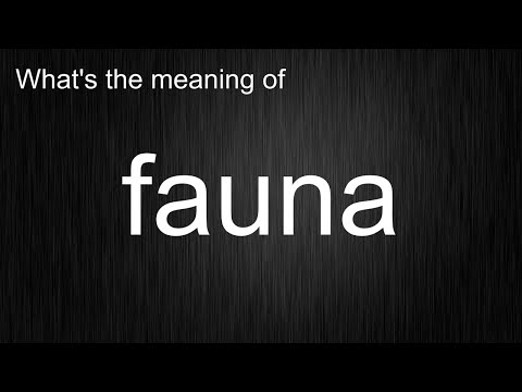 What's the meaning of "fauna", How to pronounce fauna?