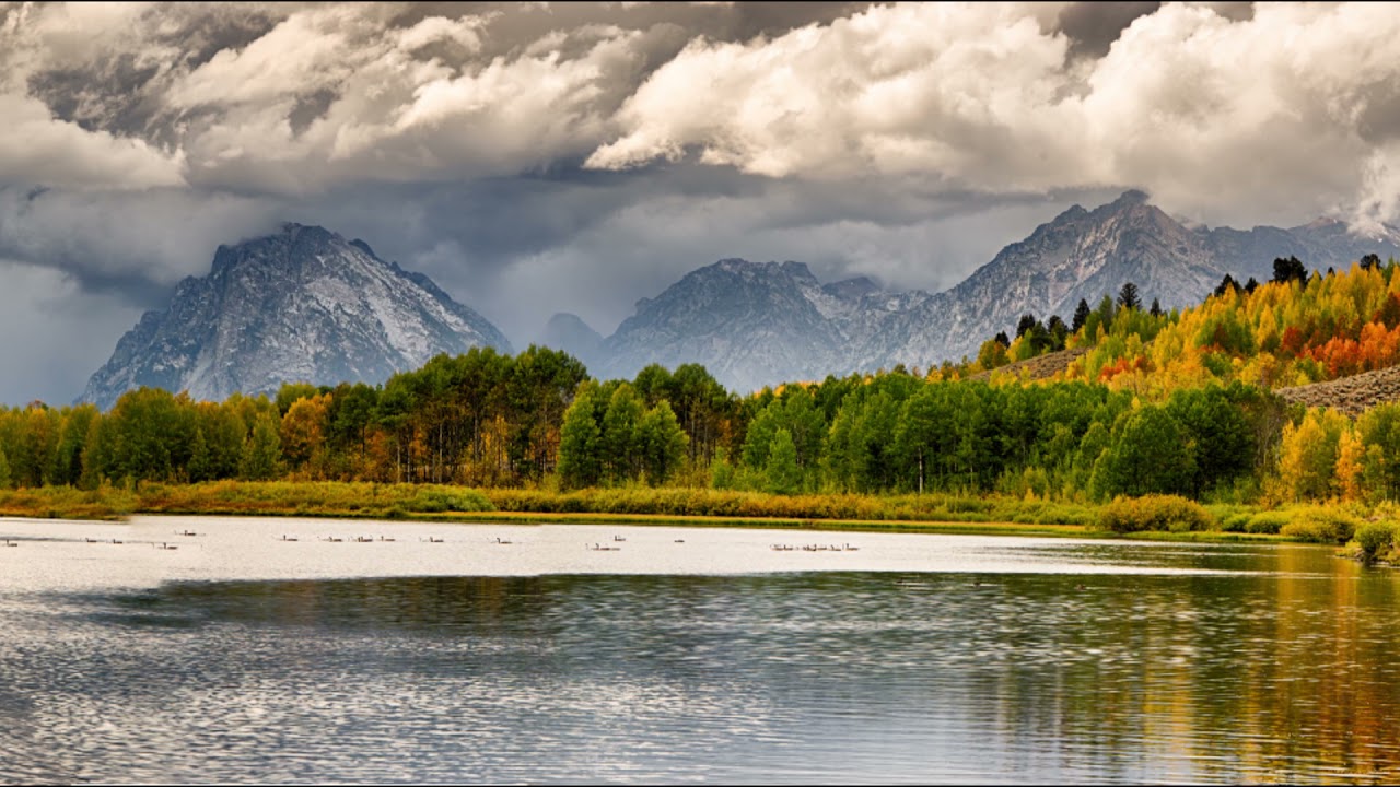 Fall Colors Oxbow Bend Teton National Park