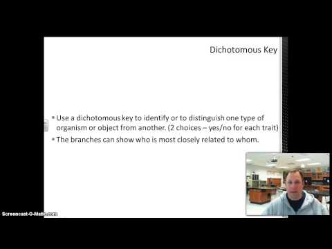 Classification and Dichotomous Key Notes Video