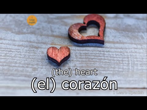 Spanish Vocabulary | Dating and Love | I Learn Spanish