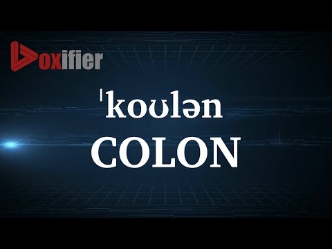 How to Pronunce Colon in English - Voxifier.com