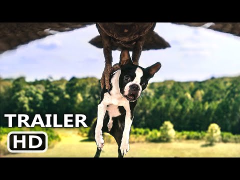 STRAYS Trailer 2 (NEW, 2023) Isla Fisher, Will Ferrell, Jamie Foxx, Comedy Movie