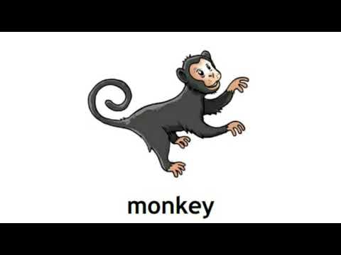 How to Pronounce Monkey in British English