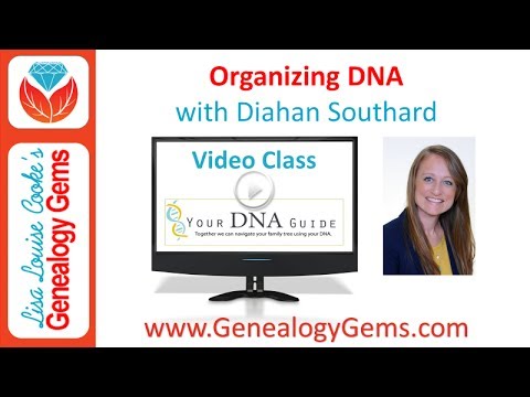 Class Preview: How to Organize Your DNA with Diahan Southard