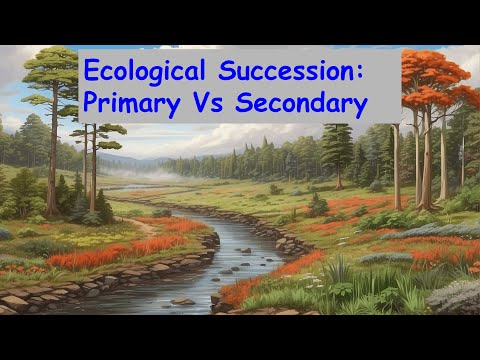 Ecological succession: primary vs secondary - Climax Community