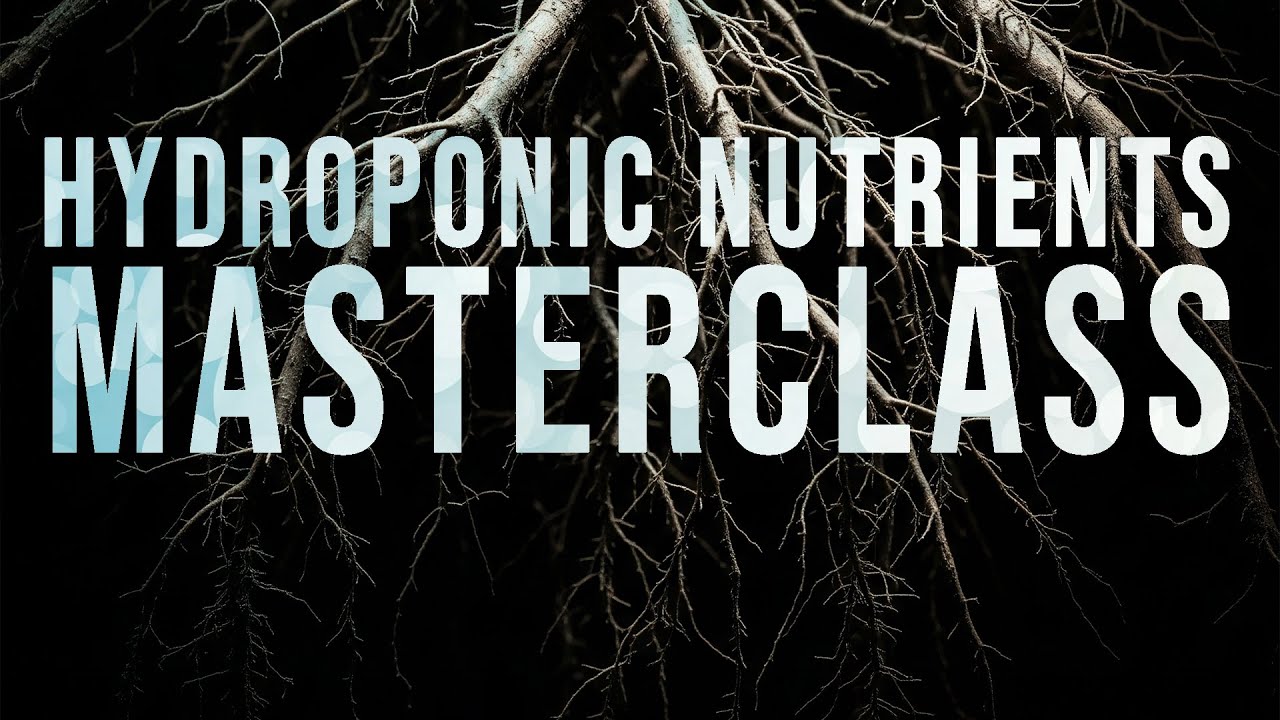 Hydroponic Nutrients EXPLAINED | Beginners Guide to 1, 2, and 3 part solutions, Organic Vs Synthetic
