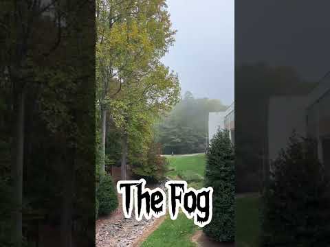 The Fog: A Wake Tech Short