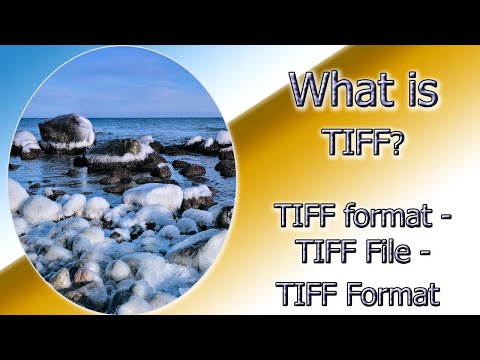What is TIFF? - TIFF format - TIFF file - TIFF - TIFF meaning - developer IT