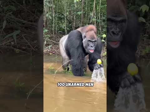 100 Men vs Gorilla Explained