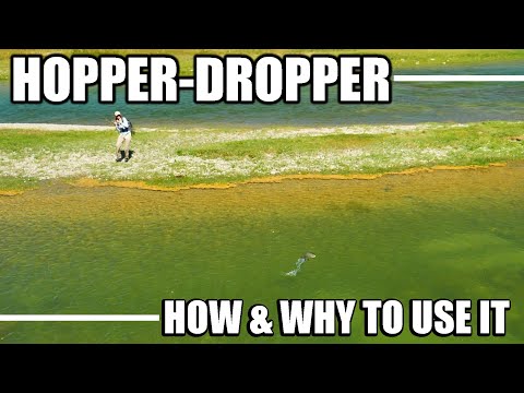 How To Fly Fish Trout Streams: How & Why to Fly Fish the Hopper Dropper ...