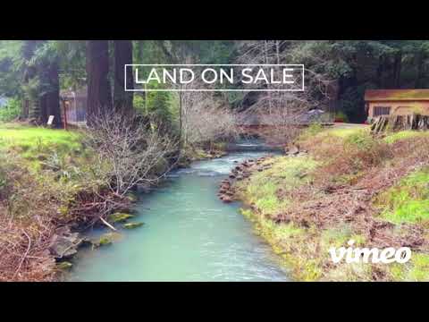 Redwood Forest Northern California! In Willits, Mendocino County