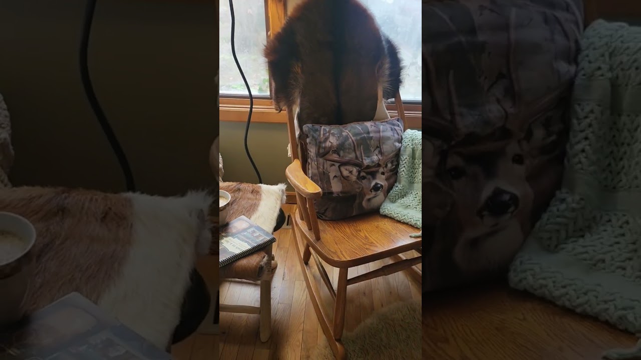 Reading Corner #cabinlife #cabinstyle #cabin #reading #readingtime #cozycorners #relaxing #chill