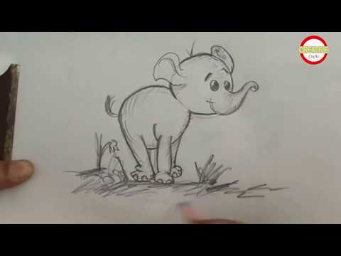 Baby Elephant Cartoon Drawing