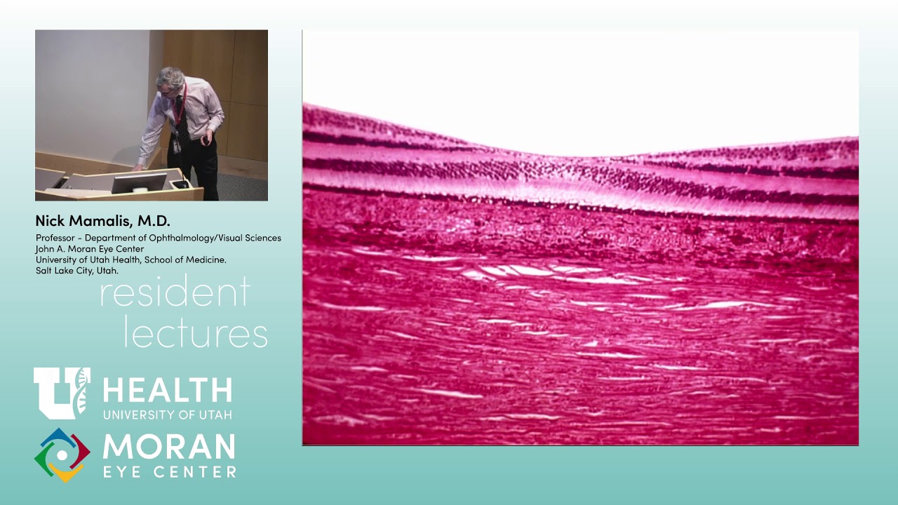 Retina Pathology [ARCHIVE]