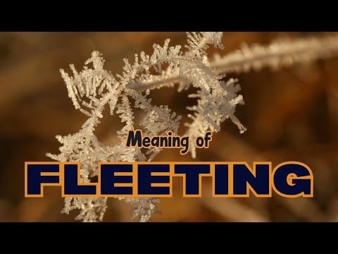 What is the meaning of Fleeting?
