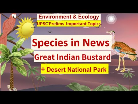 Species in News for UPSC Prelims 2024. The great Indian Bustard. Desert National Park. cafe IAS