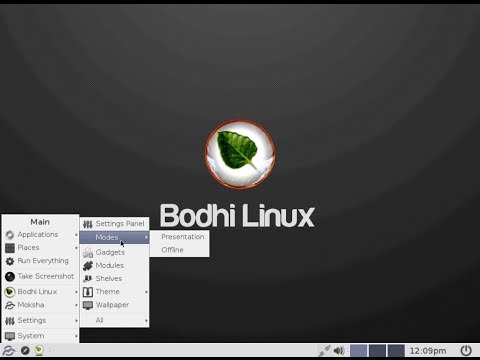 Bodhi Linux 4.0.0 Alpha 2 | Daniele Buda