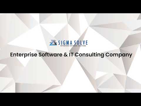 Enterprise Software & IT Consulting Company