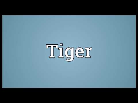 Tiger Meaning