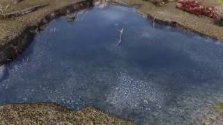 Skyrim SSE Water for ENB - by mindflux - Part Two at Skyrim Special ...