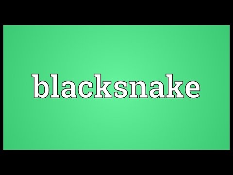 Blacksnake Meaning