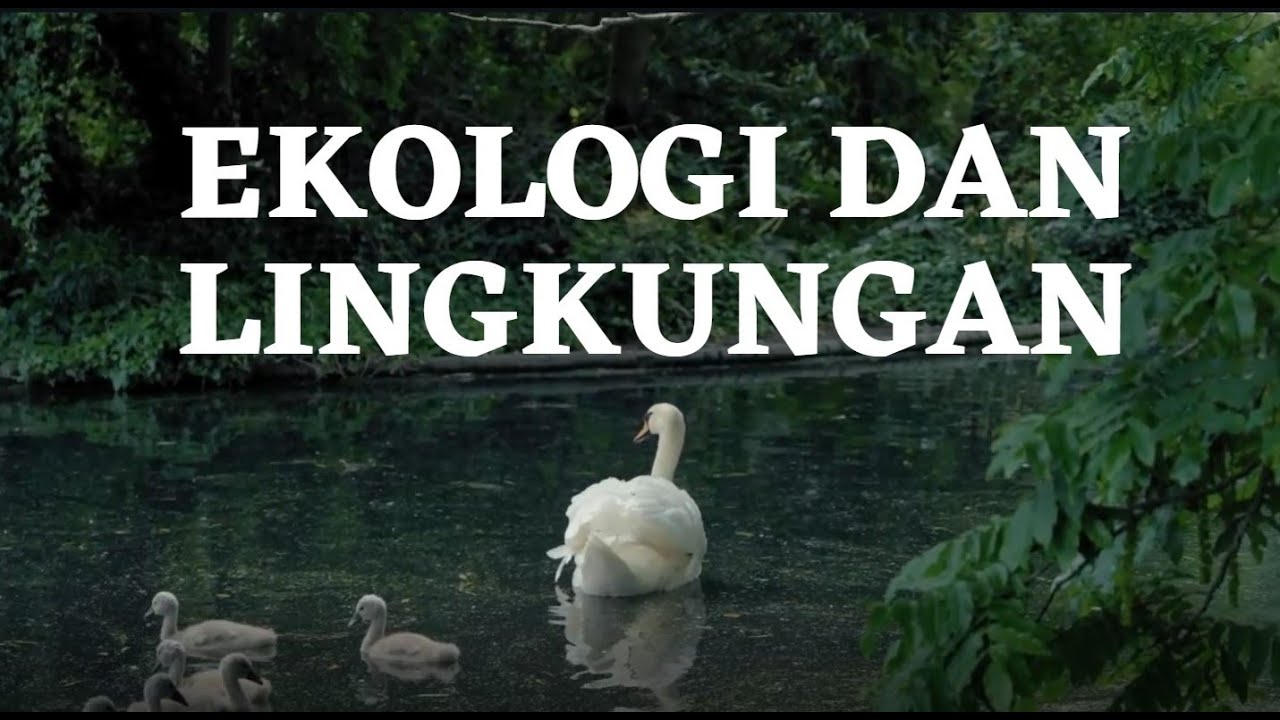 ekologi dan lingkungan terhadap kehidupan manusia #AlamInspirasi