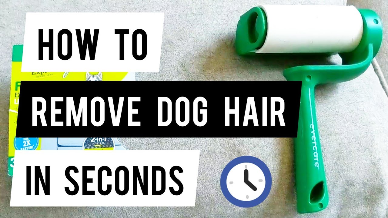 Pet Hair Removal: The best way to remove pet hair from furniture in seconds!!!