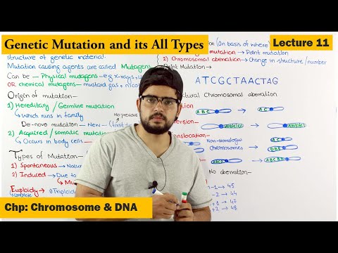 Mutation and its Types | Lecture 11