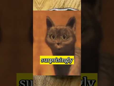 ???????? Snapple Cap Secrets Exposed ???????? #facts #viral #youtubeshorts #shorts #short #snapple #cap