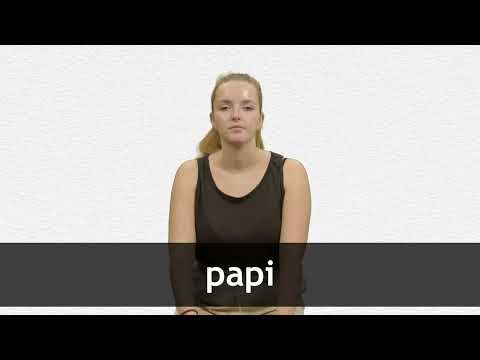 English Translation of “PAPI” | Collins French-English Dictionary