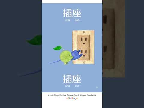 17 Electrical Outlet in Mandarin Chinese